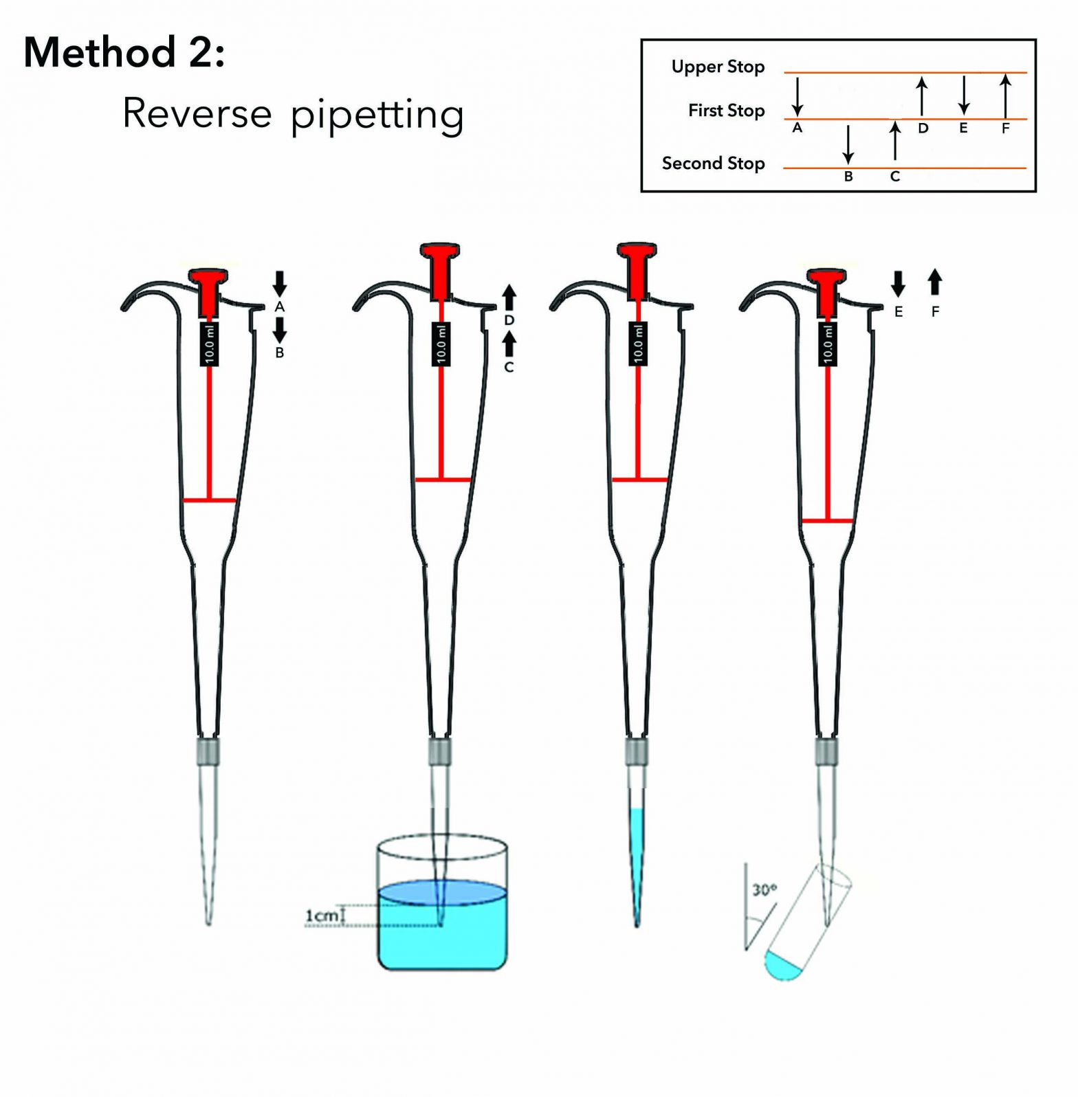 What is a Micropipette, Types, How to use, Pipetting Techniques