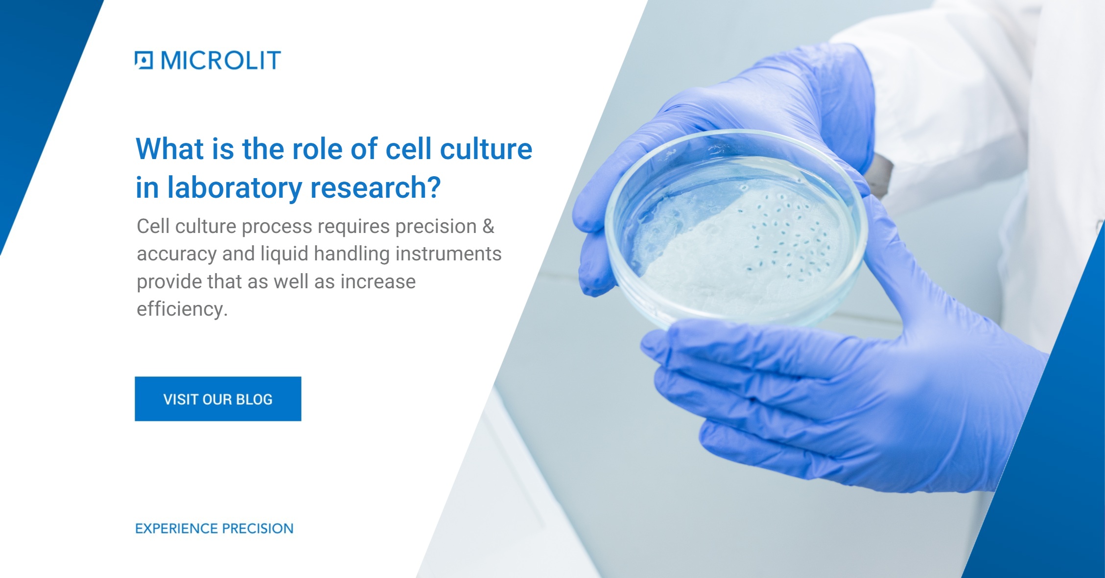 What Is The Role Of Cell Culture In Laboratory Research Microlit USA What Is The Role Of Cell Culture In Laboratory Research Microlit USA