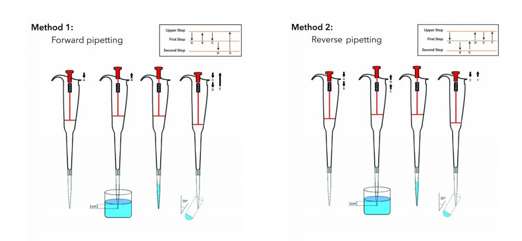 What are the different techniques of pipetting? - Microlit