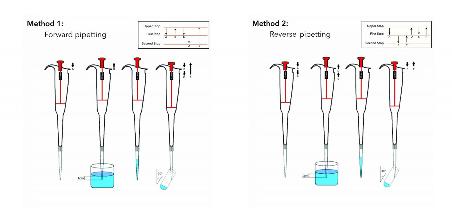What are the different techniques of pipetting? - Microlit