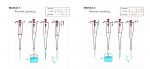 What are the different techniques of pipetting? - Microlit