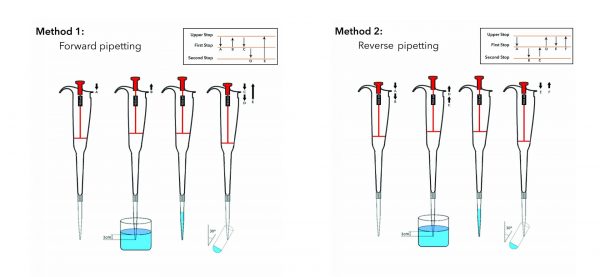 What are the different techniques of pipetting? - Microlit