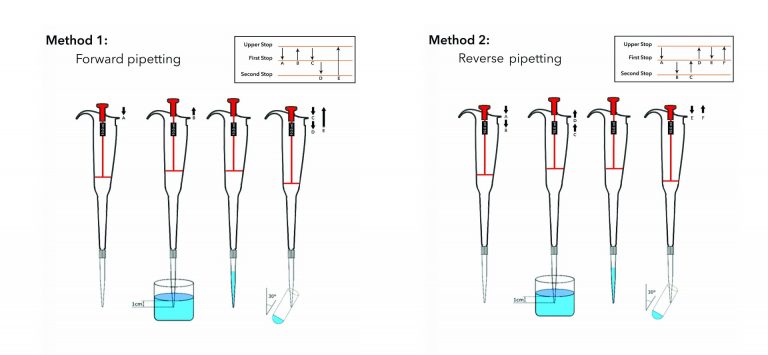 What are the different techniques of pipetting? - Microlit