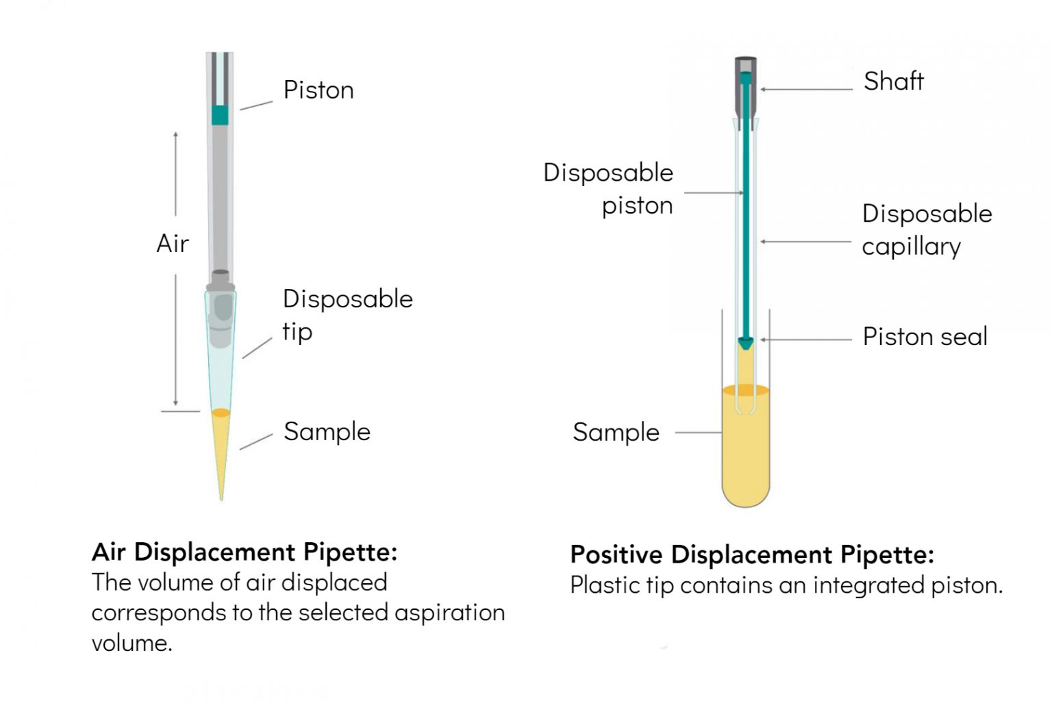 μAir Technology in Air Displacement Pipettes