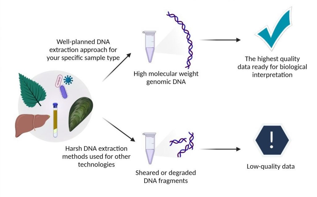 Liquid Handling in Genomics: From DNA Extraction to Sequencing - Microlit